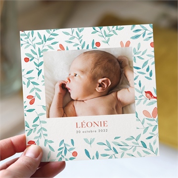 Un faire part de Naissance original personnalisé pour votre bébé